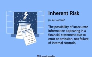 Understanding Decision-Making: Inherent Risk Preferences - Risk ...