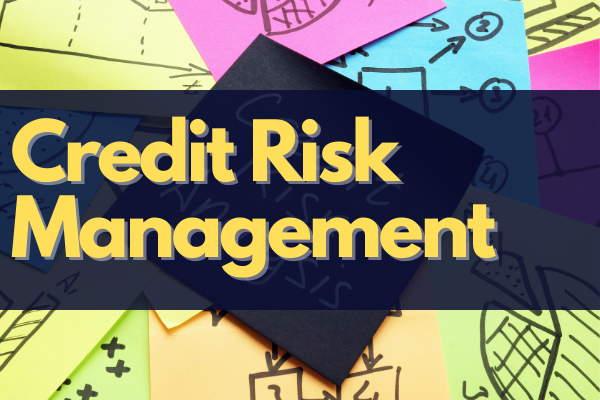 Credit Risk Management Course Online | RMA India