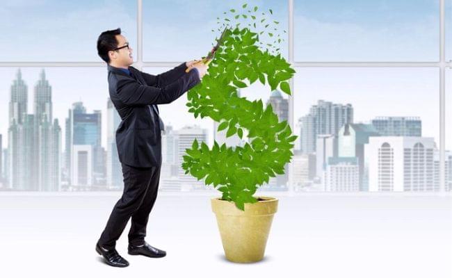 Case Study: Sustainability Challenges – Balancing Profit with Green ...